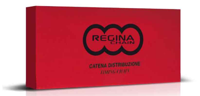 Regina Chain - Primary/Timing chain – FORZA HUB